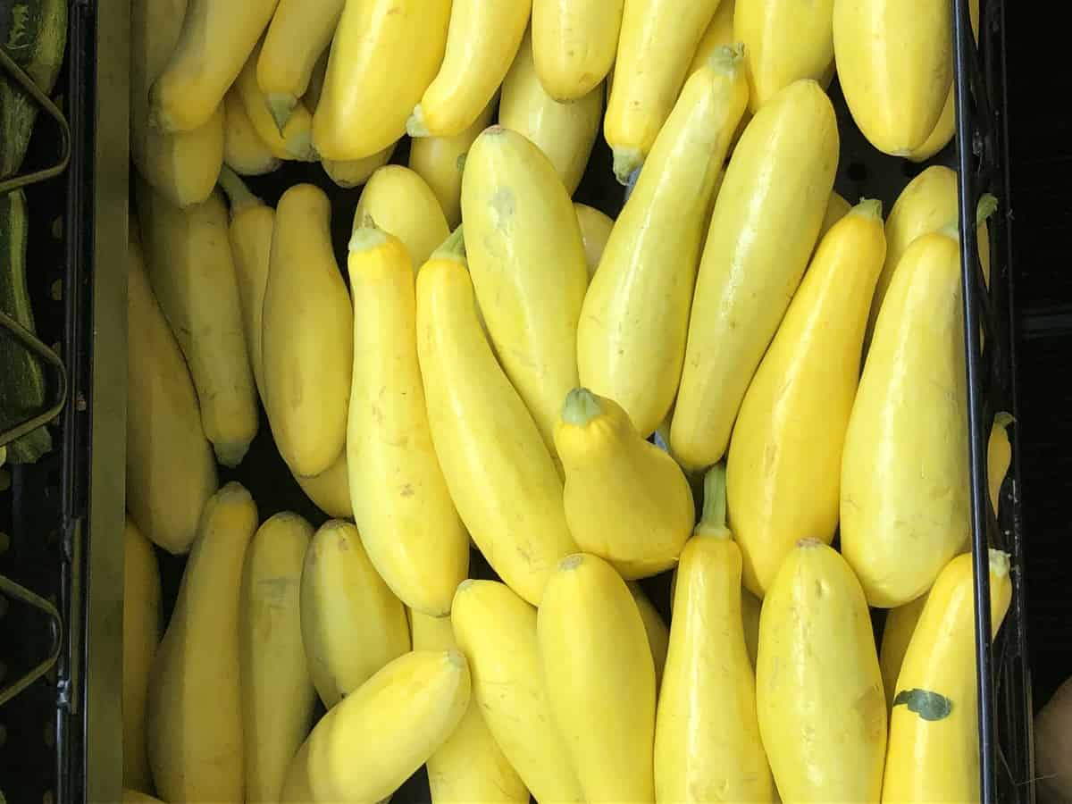 Easy Yellow Squash Recipe - EasyHealth Living