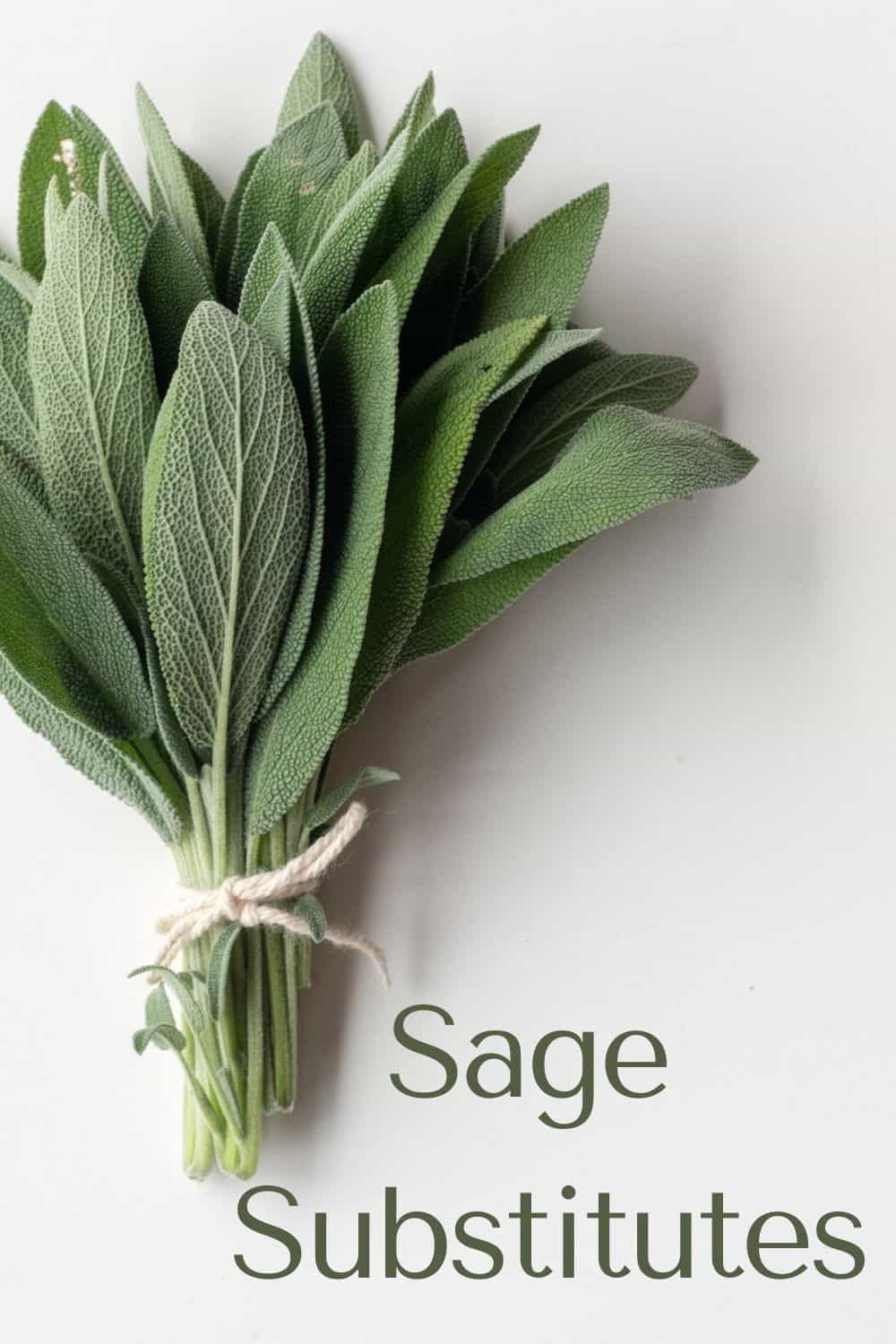 Sage Substitutes - EasyHealth Living