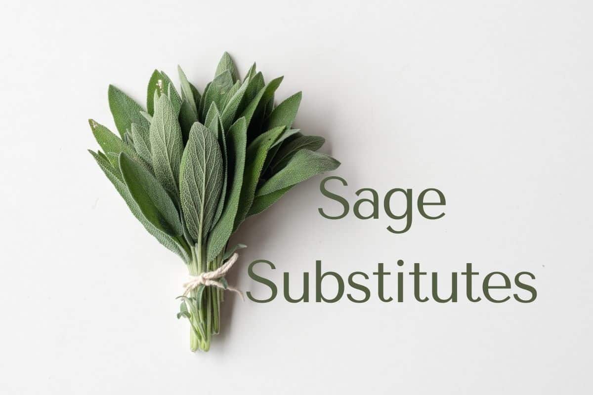 Sage Substitutes - EasyHealth Living