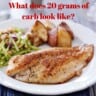 20 gm Carb Photos - EasyHealth Living